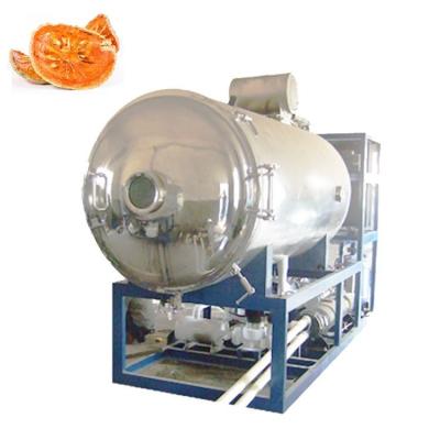 China Loading 100kg Industrial Freeze Dryer Machine SS304 Vegetable Drying Machine for sale