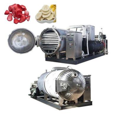 China 100kg Commercial Freeze Dryer Machine  Lemon  Fruit Freeze Drying Machine for sale