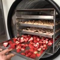 China 100kg Commercial Freeze Dryer Machine  Lemon  Fruit Freeze Drying Machine for sale