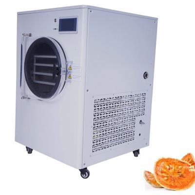 China Stainless Steel Fruit Food Vacuum Freeze Dryer Machine 3 Trayers 750W for sale
