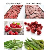 China ODM 304 Stainless Steel Lyophilization Equipment Lyophilizer Freeze Dryer for sale