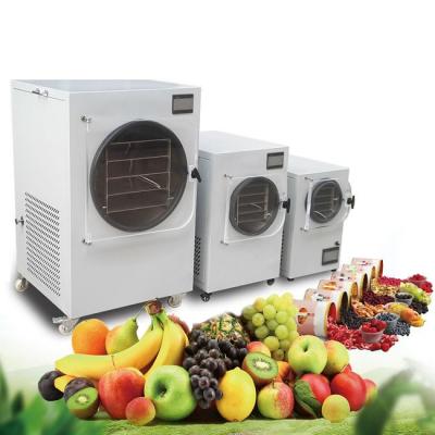 China 1500W Small Home Food Vacuum Freeze Dryer Lyophilization Machine 0.1m2 acreage for sale
