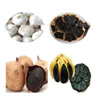 China Industrial 380V Black Garlic Making Machine 9KW High Performance for sale