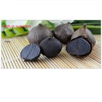 China Commercial 95kg Black Garlic Processing Machine High Efficient for sale