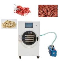 China Industrial Stainless Steel Food Dehydrator Freeze Dryer Vacuum 220v for sale