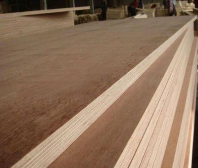 China Factory Price 28mm Shipping Container Floor Plywood for sale