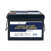 China Bely Energy 24V 100Ah LiFePO4 Battery 5000 Cycles Bluetooth Self-Heating BMS for sale