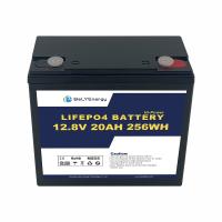 China Bely Energy 12V 20Ah LiFePO4 Battery 256Wh Deep Cycle for Golf Cart Solar Energy Storage for sale
