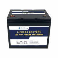 China Bely Energy Customized 24V 40Ah LiFePO4 Battery for UPS Medical Communication Station for sale