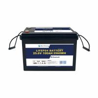China Bely Energy 24V 100Ah LiFePO4 Battery 2560Wh Grade A Prismatic Cell for Truck Power Supply for sale