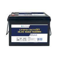 China BeLY LFP-36V50AH 38.4V 50Ah Marine LiFePO4 Battery with 5000 Cycles and IP65 Protection for sale