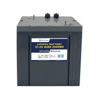 China 48V 40AH LiFePO4 Golf Cart Battery with Bluetooth Monitoring and Self-Heating Function - 5000 Cycles, 18kg Weight for sale