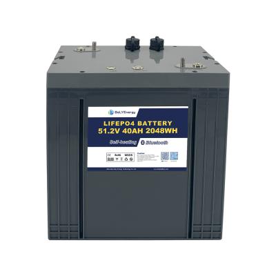 China 48V 40AH LiFePO4 Golf Cart Battery with Bluetooth Monitoring and Self-Heating Function - 5000 Cycles, 18kg Weight for sale