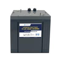 China 48V 40Ah LiFePO4 Golf Cart Battery - 5000 Cycles, 60A Fast Charging, 18kg Lightweight Design for sale