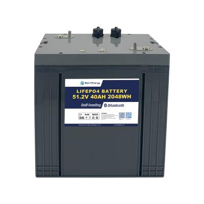 China 48V 40Ah LiFePO4 Golf Cart Battery - 5000 Cycles, 60A Fast Charging, 18kg Lightweight Design for sale