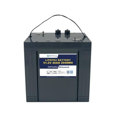 China 48V 40AH LiFePO4 Golf Cart Battery with 5000+ Cycles, 18kg Weight, and IP65 Protection for sale