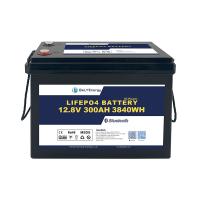 China BeLY 12V 300Ah LiFePO4 Deep Cycle Battery with 200A Charge Current for Solar Marine RV Applications for sale