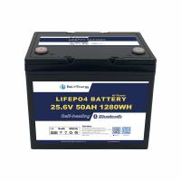 China BeLY LFP-24V50AH Marine Lithium Battery - 24V 50AH LiFePO4 with 1280Wh Capacity and 12kg Weight for sale