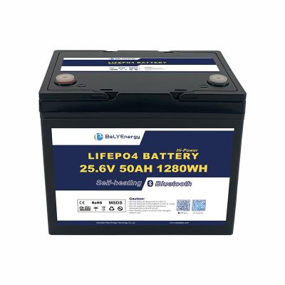 China BeLY LFP-24V50AH Marine Lithium Battery - 24V 50AH LiFePO4 with 1280Wh Capacity and 12kg Weight for sale