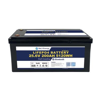 China BeLY Marine Lithium Battery 24V200AH 5120Wh LiFePO4 Deep Cycle for Boats and Yachts for sale