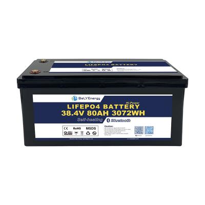 China BeLY LFP-36V80AH 36V 80Ah Marine Lithium Battery with LiFePO4 Technology and 3072Wh Capacity for sale