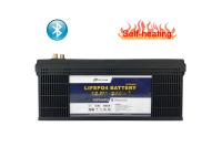 China 12V 200Ah LiFePO4 Battery with Bluetooth and Heating Function - Low Temperature Operation Down to -30°C, 3000+ Cycles for sale