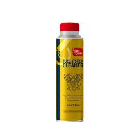 China 300ml Fuel System Cleaner Reduces Fuel Consumption and Enhances Performance for TSI Turbocharged Gasoline Engines for sale