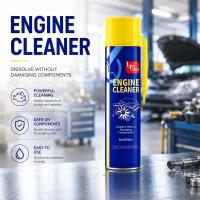 China Professional Engine Surface Cleaner with Built-in Brush for Degreasing and Multi-Surface Cleaning for sale