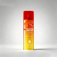 China Silicone-based Quick-drying Door and Window Lubricant Spray for Noise Reduction and Rubber Maintenance for sale