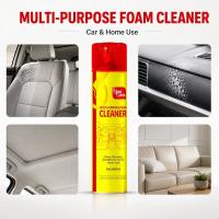 China 668ml Capacity Multi-Purpose Foam Cleaner with No-Brush Foam Cleaning and Strong Cleaning Power for sale