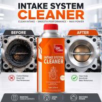 China 325ml Intake System Cleaner for Carbon Deposit Removal and Improved Combustion Efficiency for sale