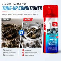 China Foam Penetration Carburetor Cleaner with 450ml Capacity for Effective Carbon Deposit Removal for sale