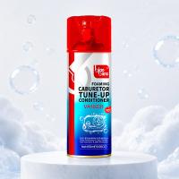 China 450ml Capacity Foaming Carburetor Cleaner with Rich Clinging Foam for Powerful Deposit Removal for sale