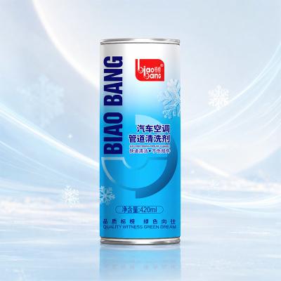 China 420ml Mild Odor Air Conditioner Cleaner for A/C System Cooling Performance Protection for sale