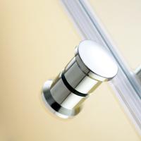 China Tempered Glass Bath Shower Door Sanitary Grade Shower Door LBS24-008 for sale