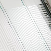 China Tempered Glass Tub Shower Doors Sanitary Grade Shower Door LBS523-6 for sale