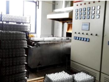 China Mesh Belt Electric Glass Flower Baking Annealing Furnace for sale
