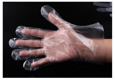 China Free Size Polythene Transparent Disposable PE Gloves Plastic Gloves 100 Pack for sale