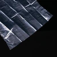 China Plastic Disposable PE Gloves Clear Color Plastic Polythene Disposable Glove for sale