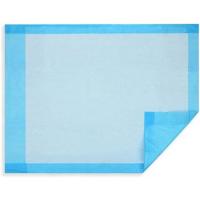 China Disposable Underpad With Stickers 60x90 Sheet Hospital Urine Under Bed Pad for sale