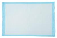 China Non Woven 60g Adult Incontinence Products at Competitive for sale
