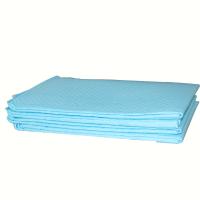 China Pet Puppy Assurance Urine Absorbent Pad Sheet 45*60Cm Dog Training Mat for sale