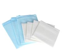 China Pet Puppy Assurance Urine Absorbent Pad Sheet 45*60Cm Dog Training Mat for sale