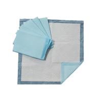 China Pet Puppy Assurance Urine Absorbent Pad Sheet 45*60Cm Dog Training Mat for sale