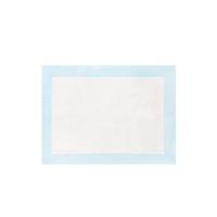 China Soft Cotton Surface Medical Care Hospital Incontinence Pads Consumables Underpad for sale