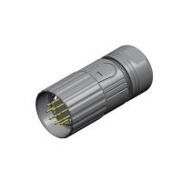 China M23 Waterproof Male Connector 19 Pin Cu Alloy IP67 250V Circular Power Signal for sale