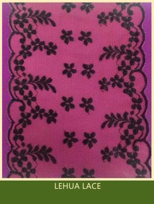 China Hot Selling and nice quality Nylon Spandex Stretchy Brazil Lace from China for sale