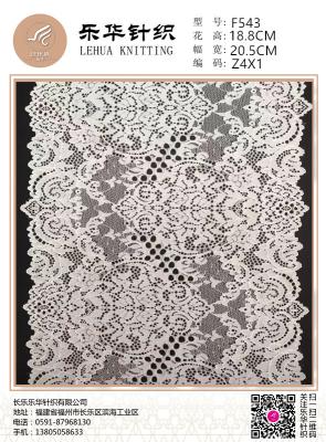 China Width 20.5 cm hollow elastic lace DIY beauty back underwear lace safety pants dress clothing accessories for sale