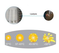 China Surgery lipolysis face lift endolaser bare fiber evlt radial fiber hemorrhoid fistula fiber for sale