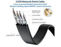 China Outdoor Indoor 100ft Ethernet Cable Waterproof Ethernet Cable Patch Cord Lan Network Ethernet Cable for sale